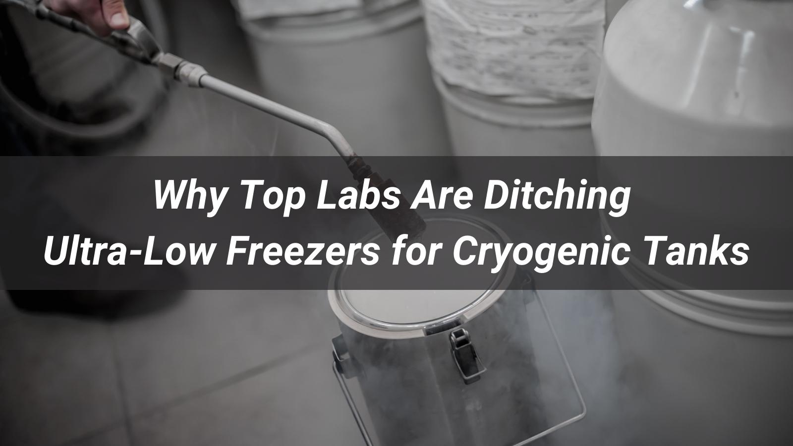Cryogenic Tanks vs. Freezers: Which Storage Solution Saves More? - Banagee