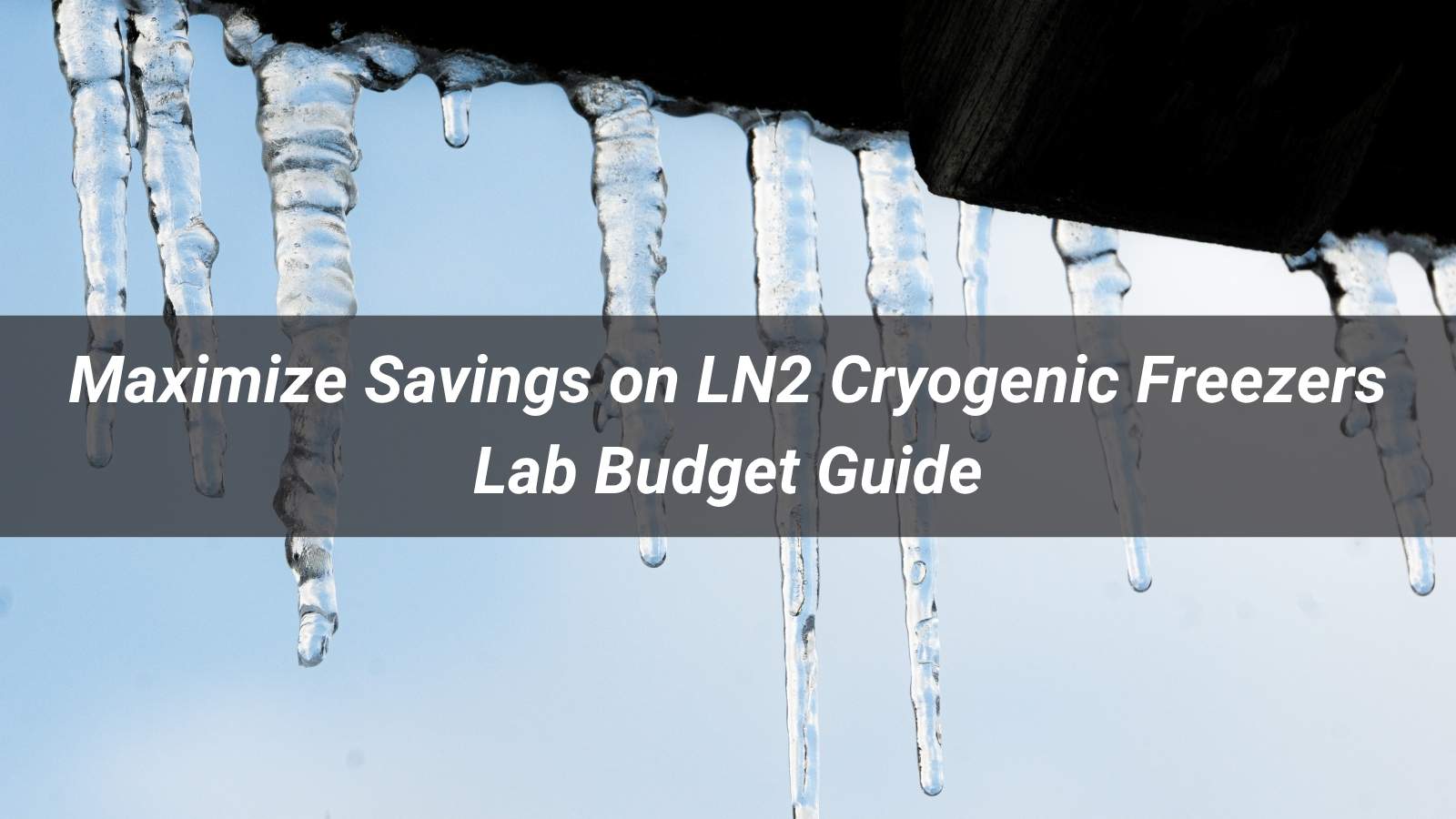Maximize Savings on LN2 Cryogenic Freezers: 2025 Lab Budget Guide - Banagee